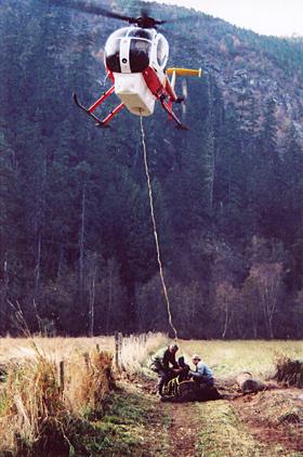 Winston the Legendary Bear | Pemberton Wildlife Association